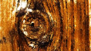 Cuadros Enrique Mateu Enrique Mateu